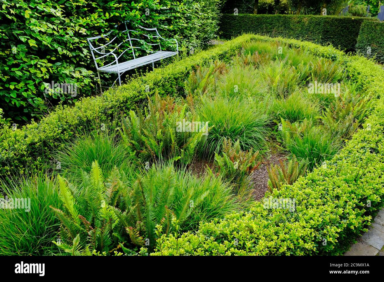 Plant box hedge hi-res stock photography and images - Alamy