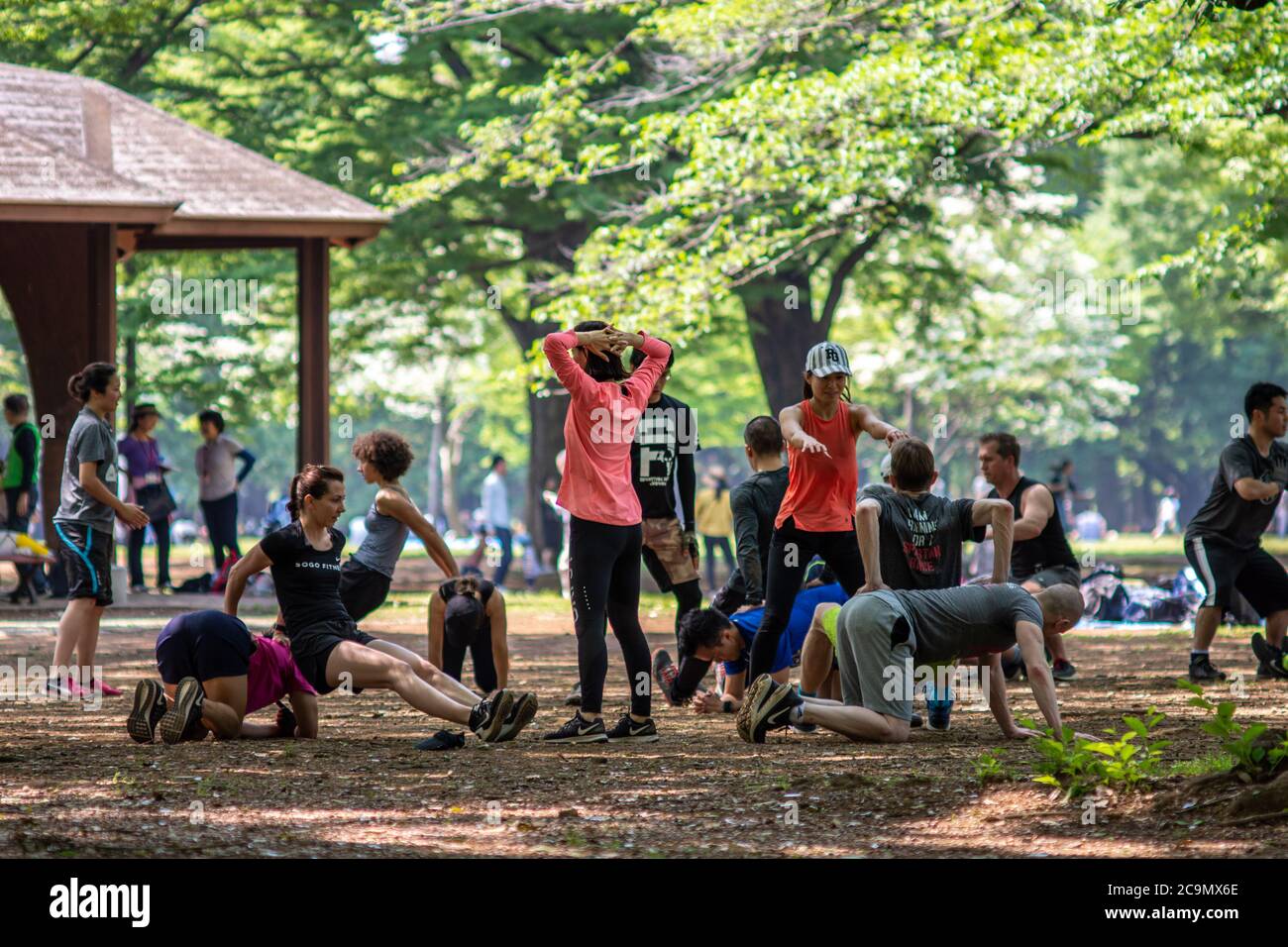 People Exercising In Park