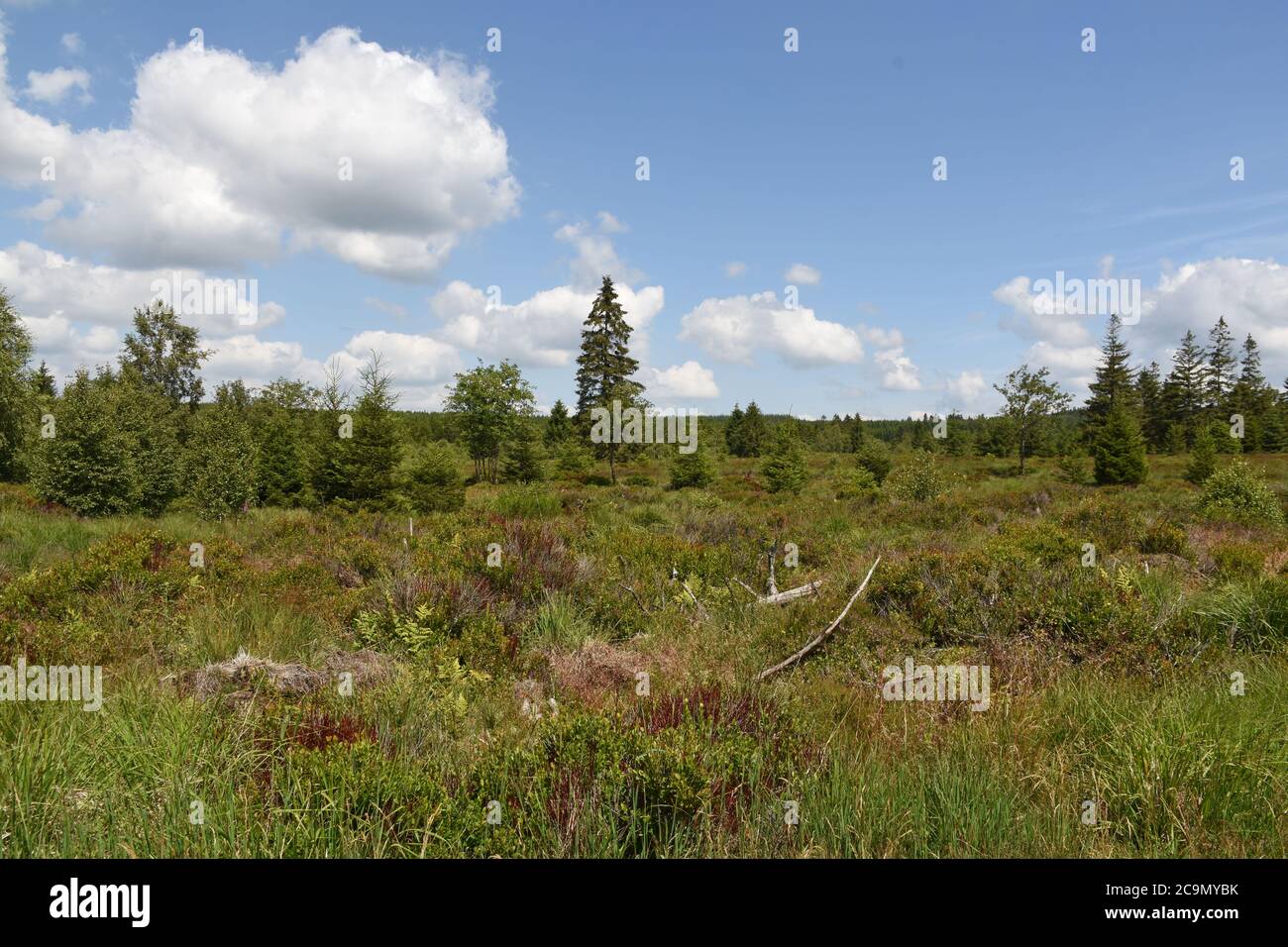 High fens eifel nature park hi-res stock photography and images - Alamy