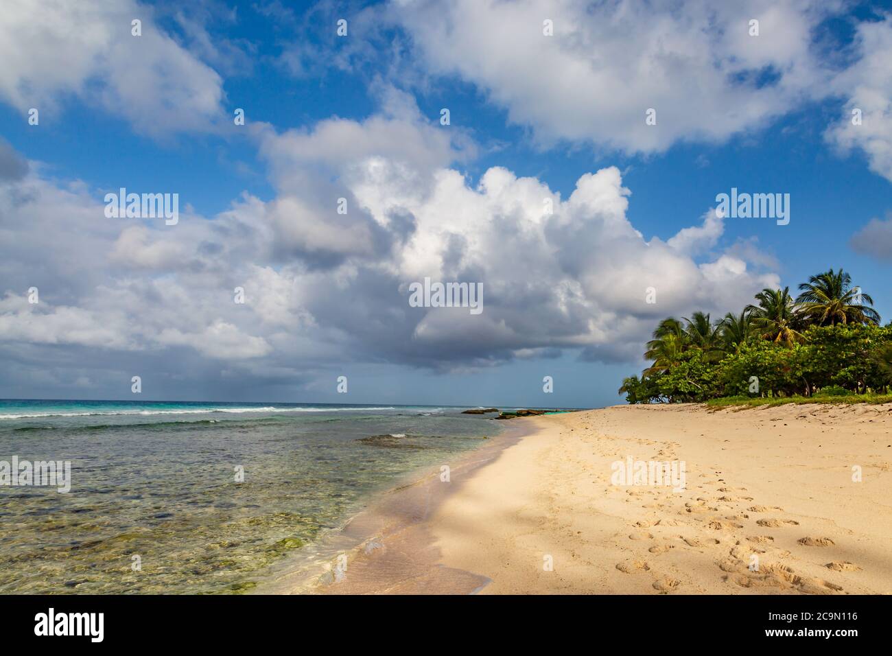 An early morning beach view on the Caribbean Island of Barbados Stock ...