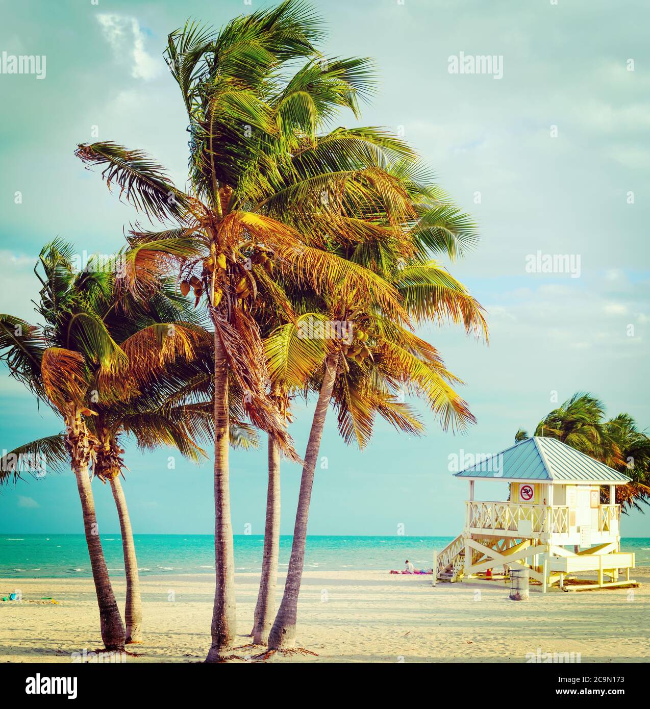 Palm trees and lifeguard hut in Key Biscayne. Southern Florida, USA ...