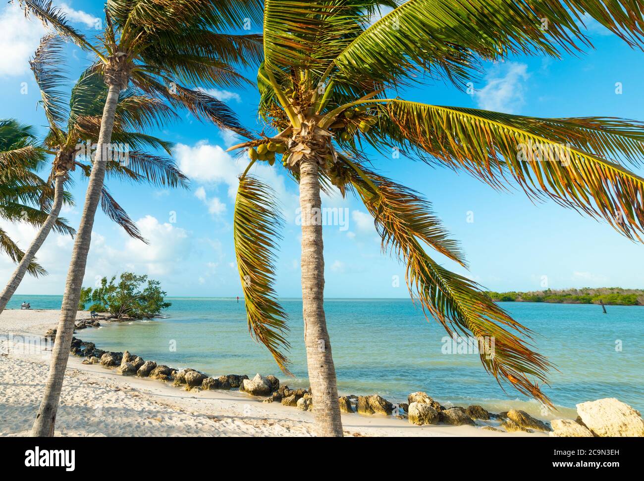 Beautiful Sombrero Beach in Florida Keys, USA Stock Photo - Alamy