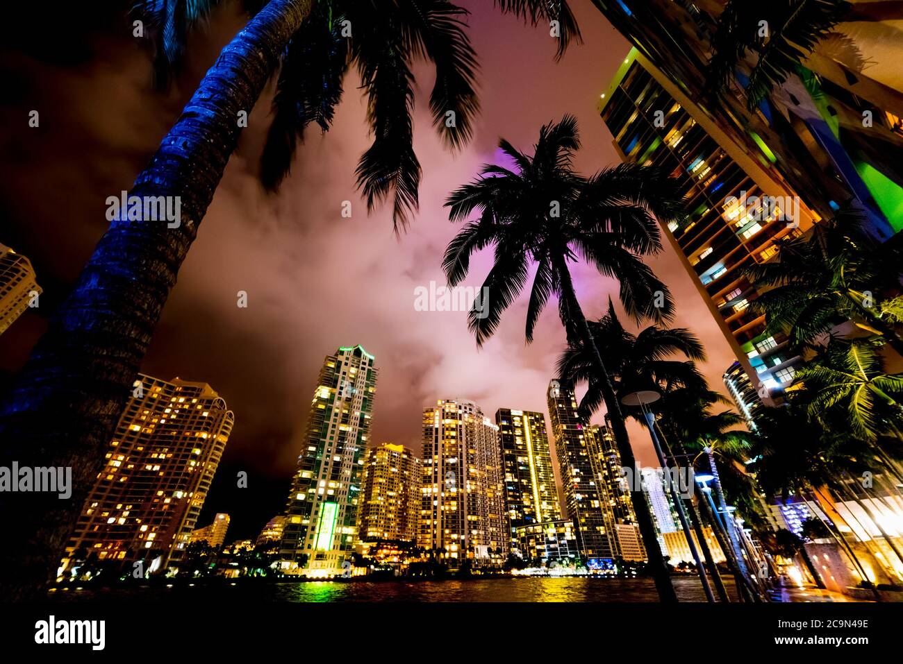 Palm trees and skyscrapers in Miami Riverwalk. Southern Florida, USA ...