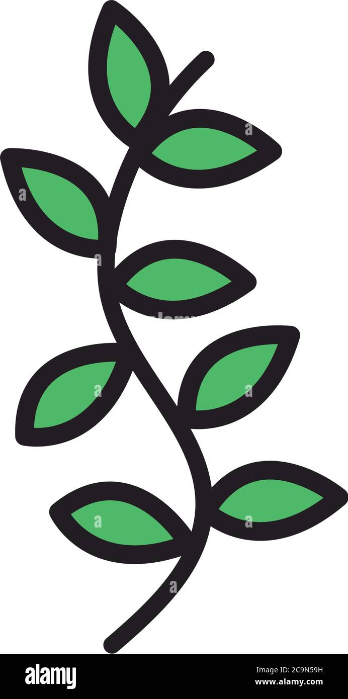 Plant line and fill style icon design of Floral nature garden ornament ...