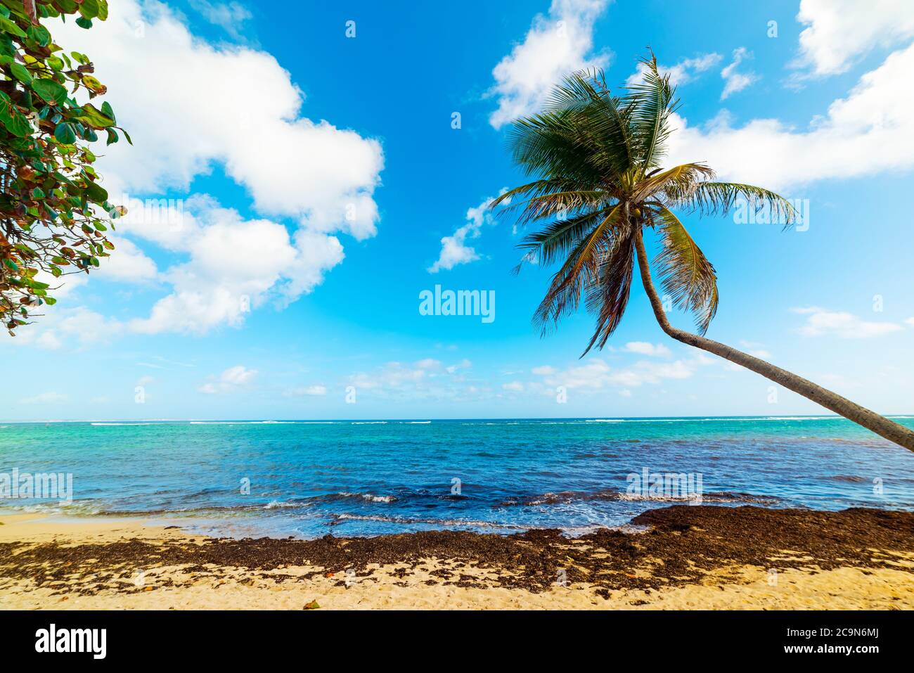 Autre Bord beach in Guadeloupe, French west indies. Lesser Antilles ...