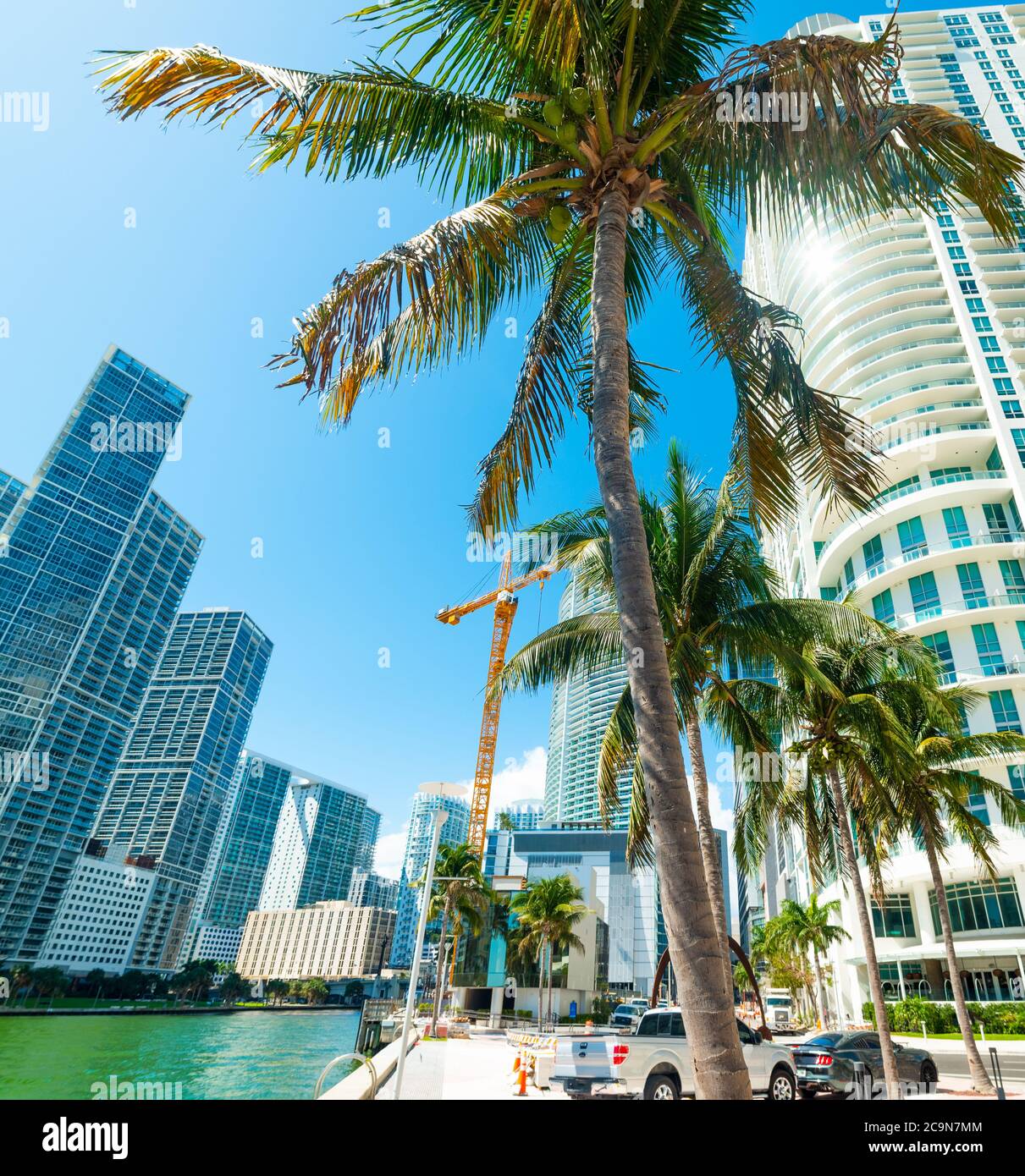 Palm trees and skyscrapers in Miami Riverwalk. Southern Florida, USA ...