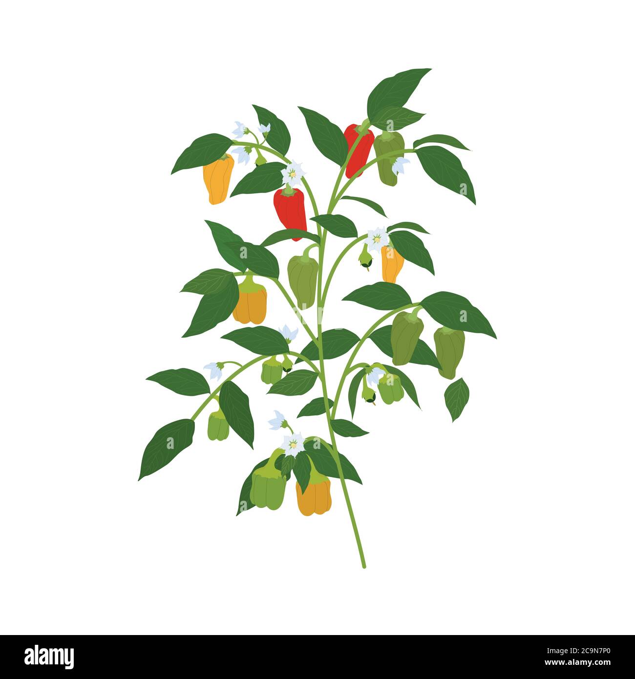 Pickled peppers make Stock Vector Images - Alamy