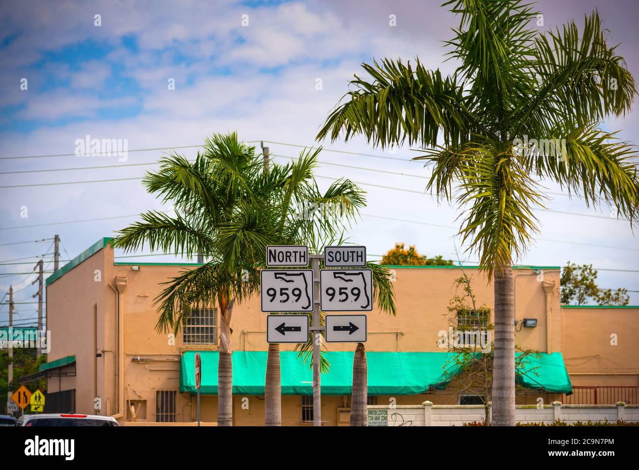 Florida 959 State Road signs under palm trees in Miami, USA Stock Photo ...