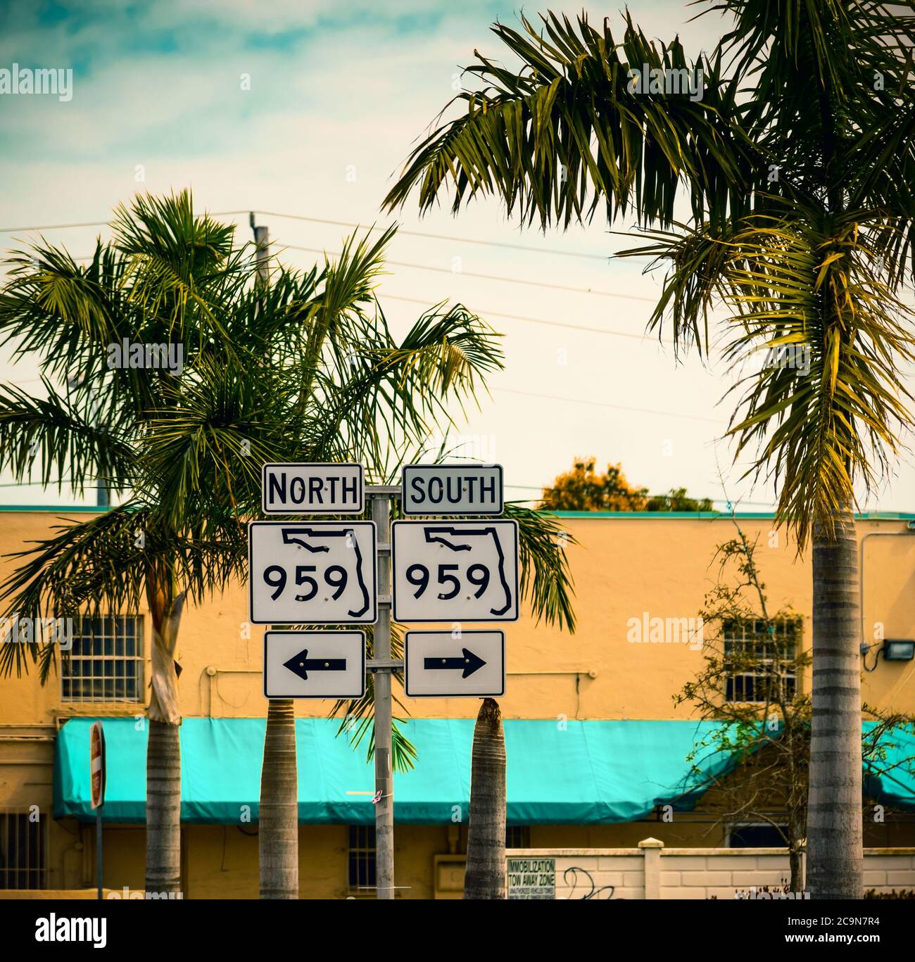 Florida 959 State Road signs under palm trees in Miami, USA Stock Photo ...