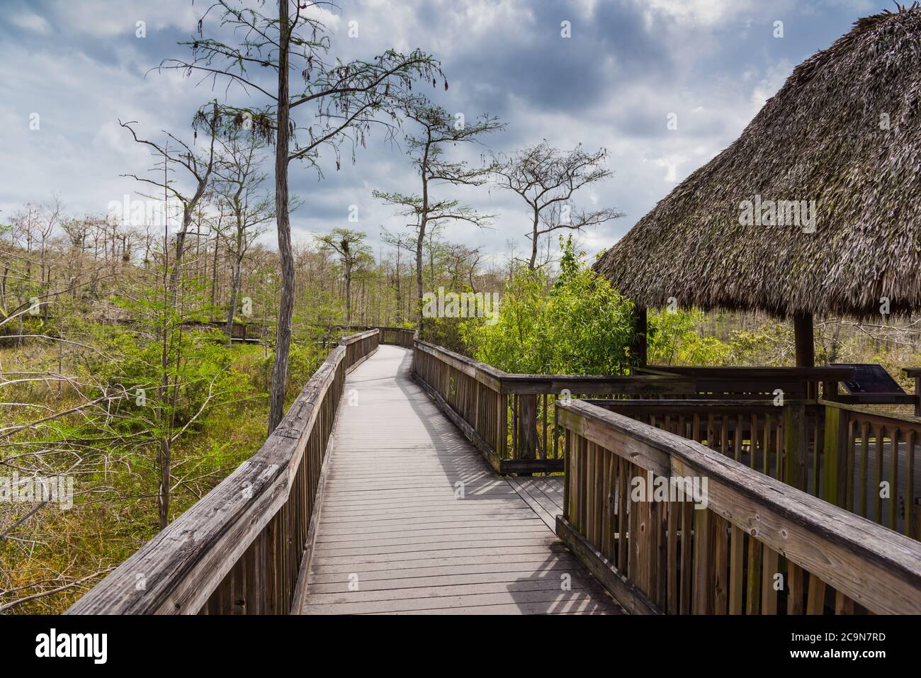 Everglades twilight scene hi-res stock photography and images - Alamy