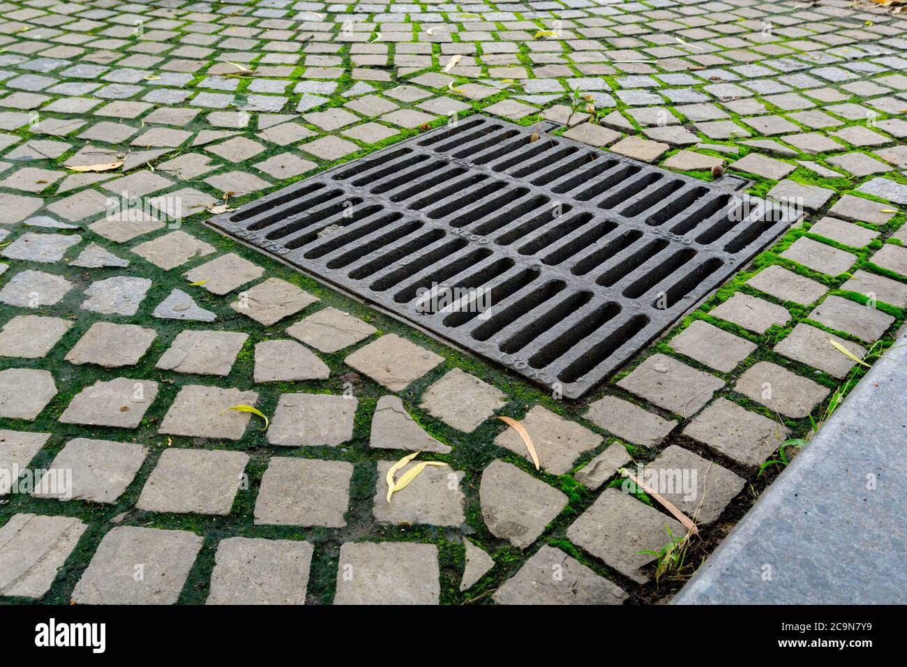 Rain water drainage hi-res stock photography and images - Alamy