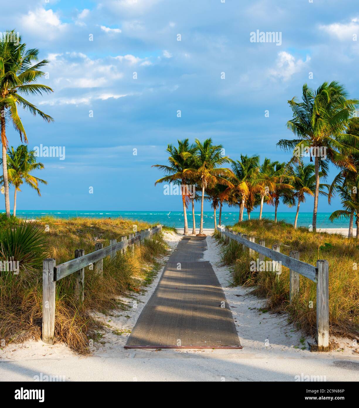Wooden boardwalk in beautiful Crandon Park in Key Biscayne under an ...