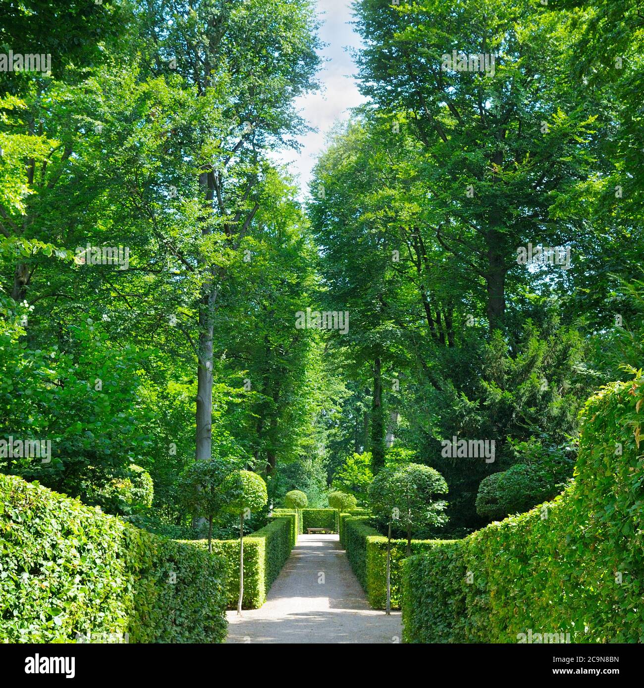 Summer park with hedges and alleys. Cozy garden for hiking Stock Photo ...