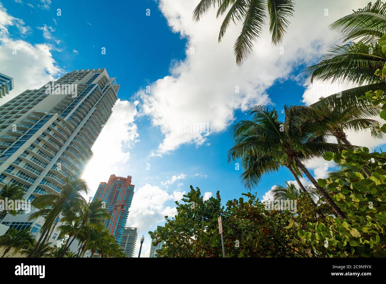 Skyscrapers in world famous Miami Beach, USA Stock Photo - Alamy