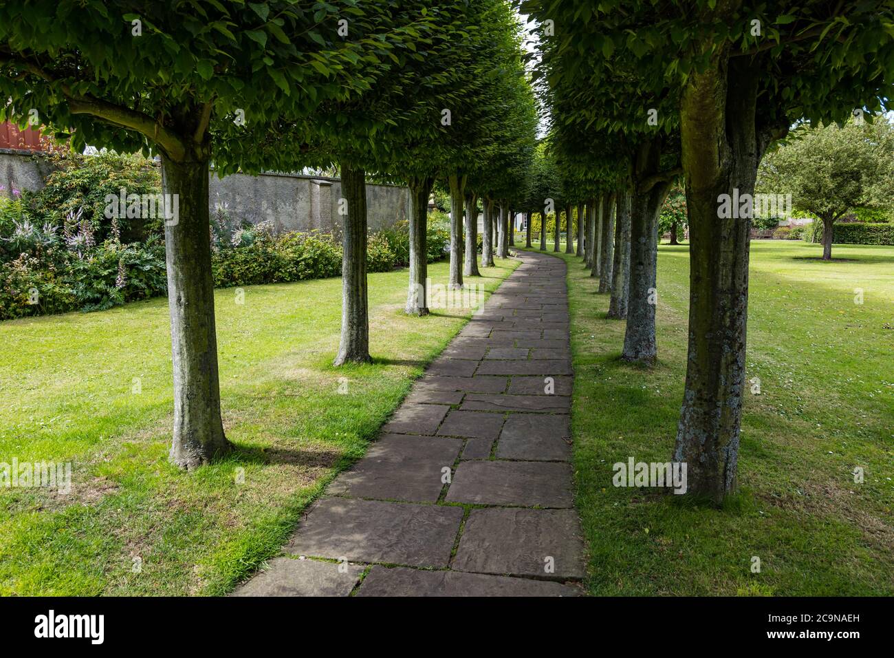 Hornbeam garden hi-res stock photography and images - Alamy