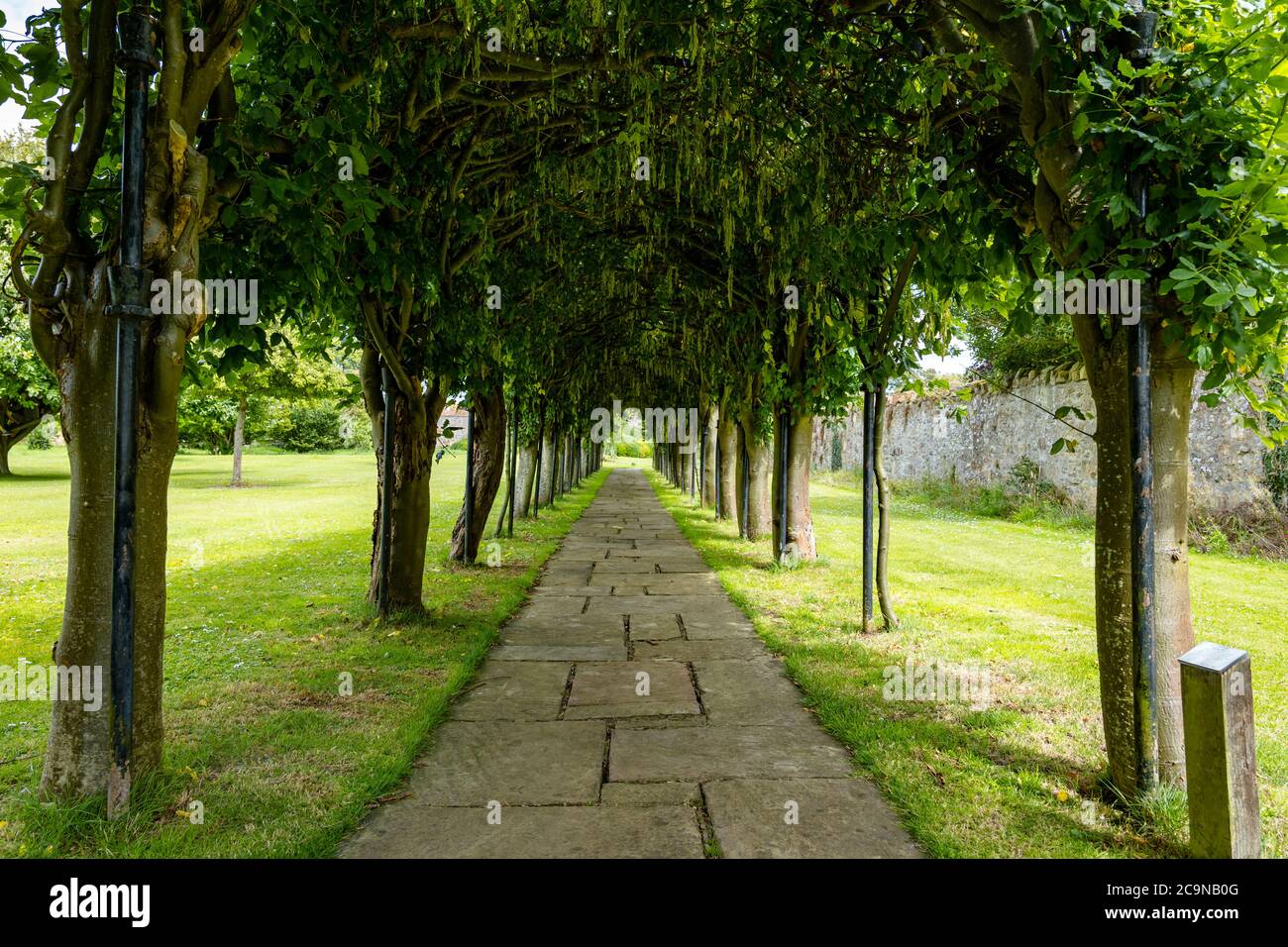 Laburnum Arch High Resolution Stock Photography and Images - Alamy