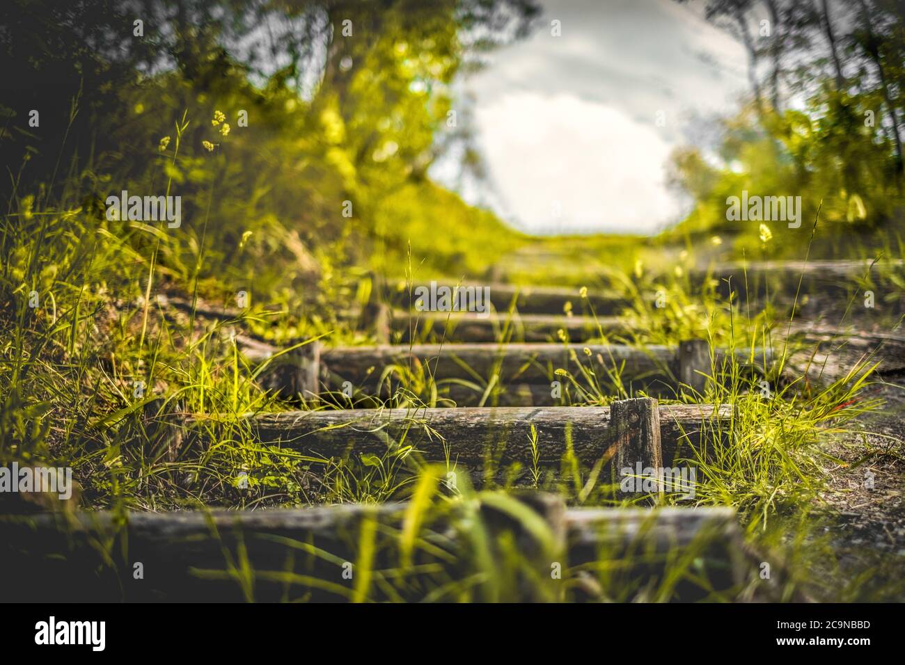 steps in the nature country trail landscapes background Stock Photo - Alamy