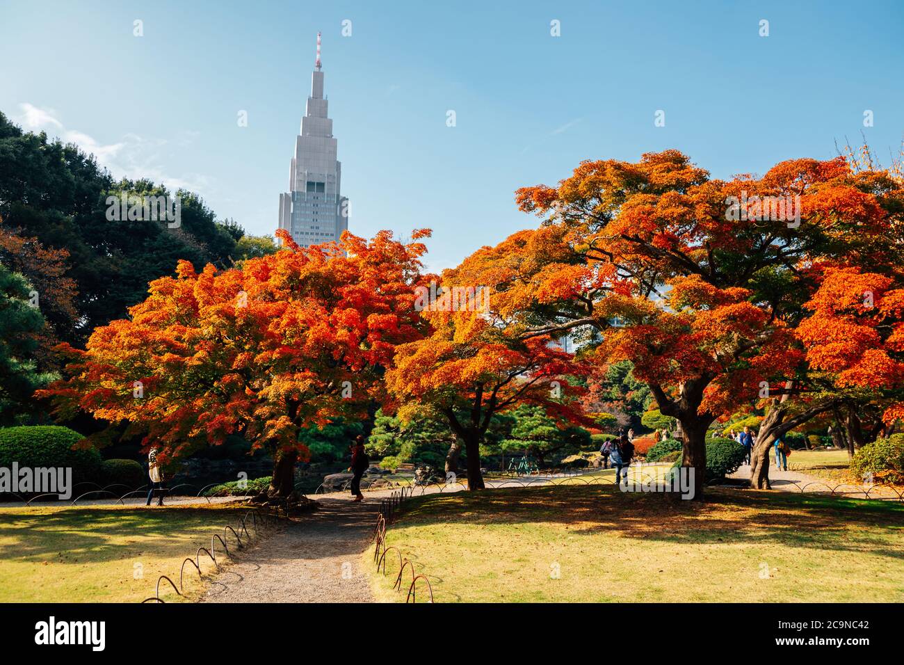 Shinjuku Gyoen park at autumn in Tokyo, Japan Stock Photo - Alamy