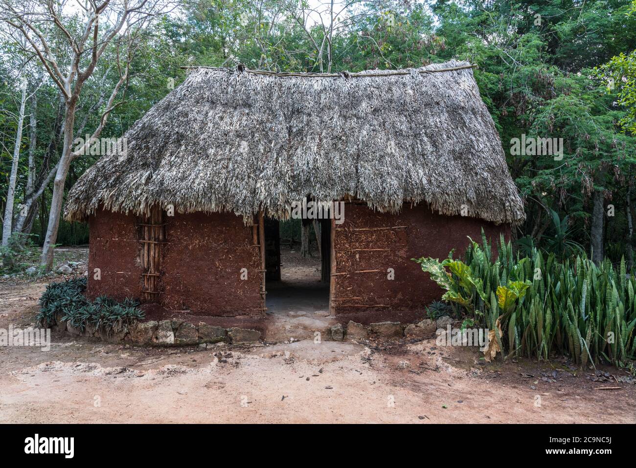 A typical traditional thatched-roofed wattle and daub hut in the ruins ...