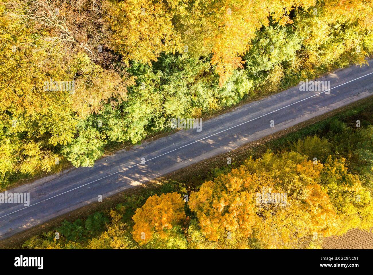 Aerial view of empty road between yellow fall trees Stock Photo - Alamy