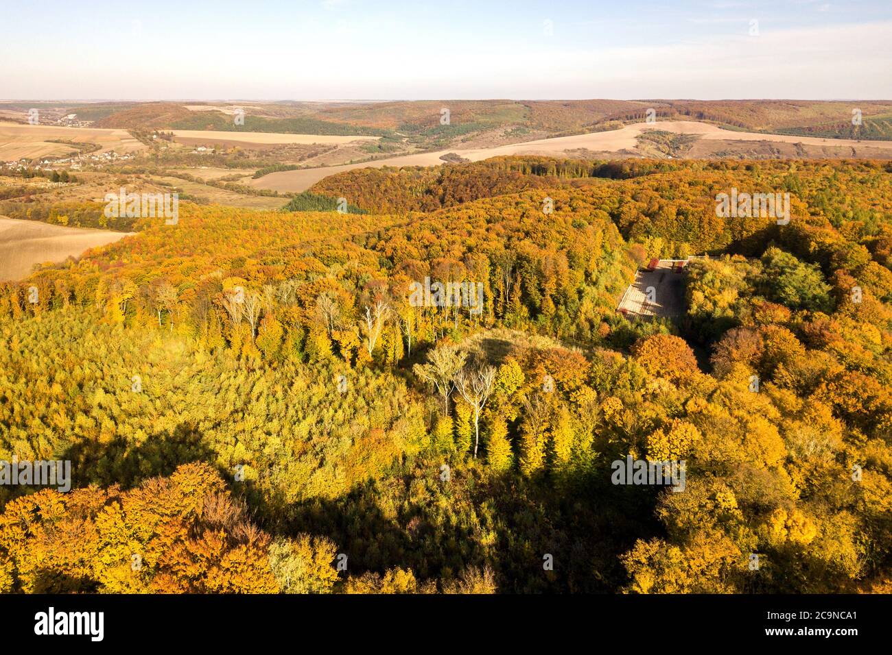 Top down aerial view of green and yellow canopies in autumn forest with ...