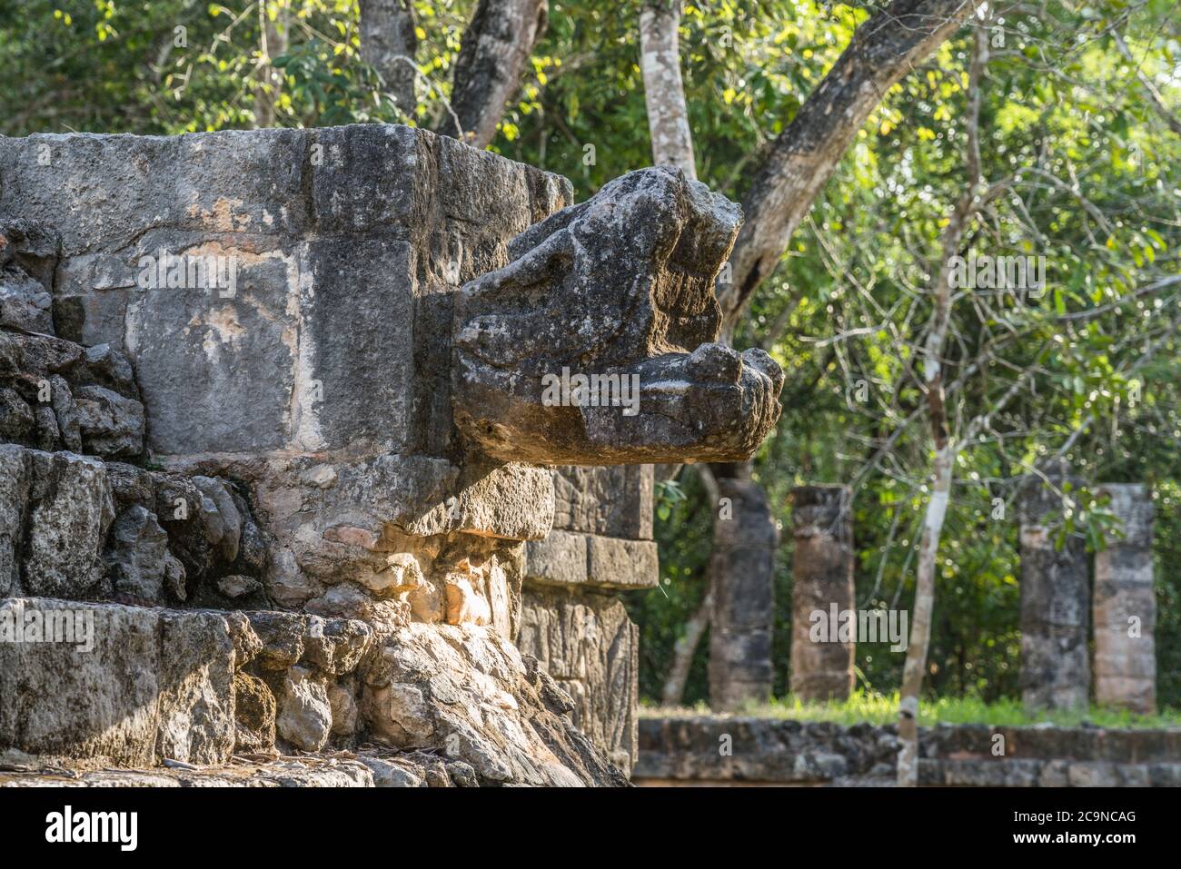 A carved stone serpent head on the Platform of Venus in the Ossuary ...