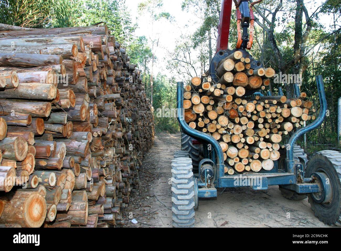 Field after harvest mechanical hi-res stock photography and images - Alamy