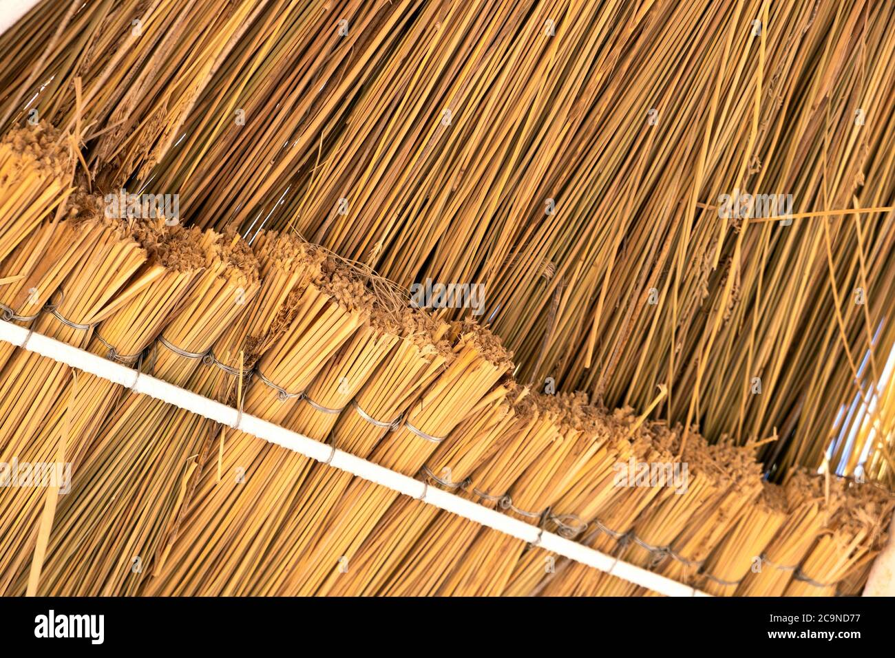 Close up detail of yellow straw roof Stock Photo - Alamy