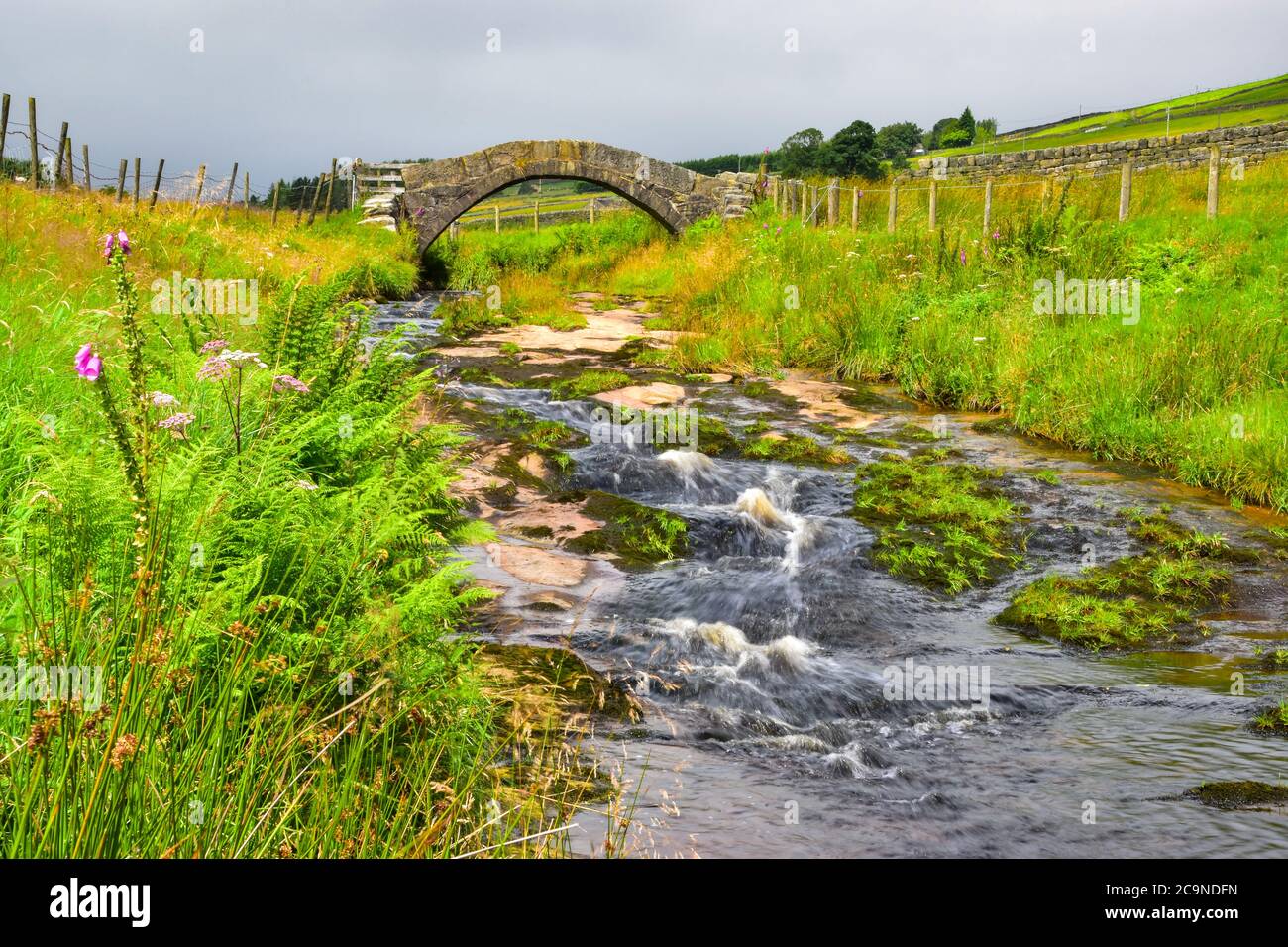 Strines Bridge, Lower Strines, Colden Water, Old Packhorse Bridge over ...