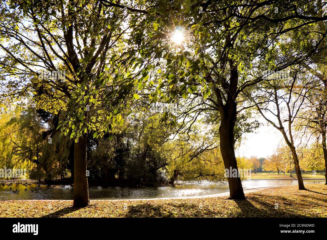 Victoria Park-English park landscape. A perfect place to relax Stock ...