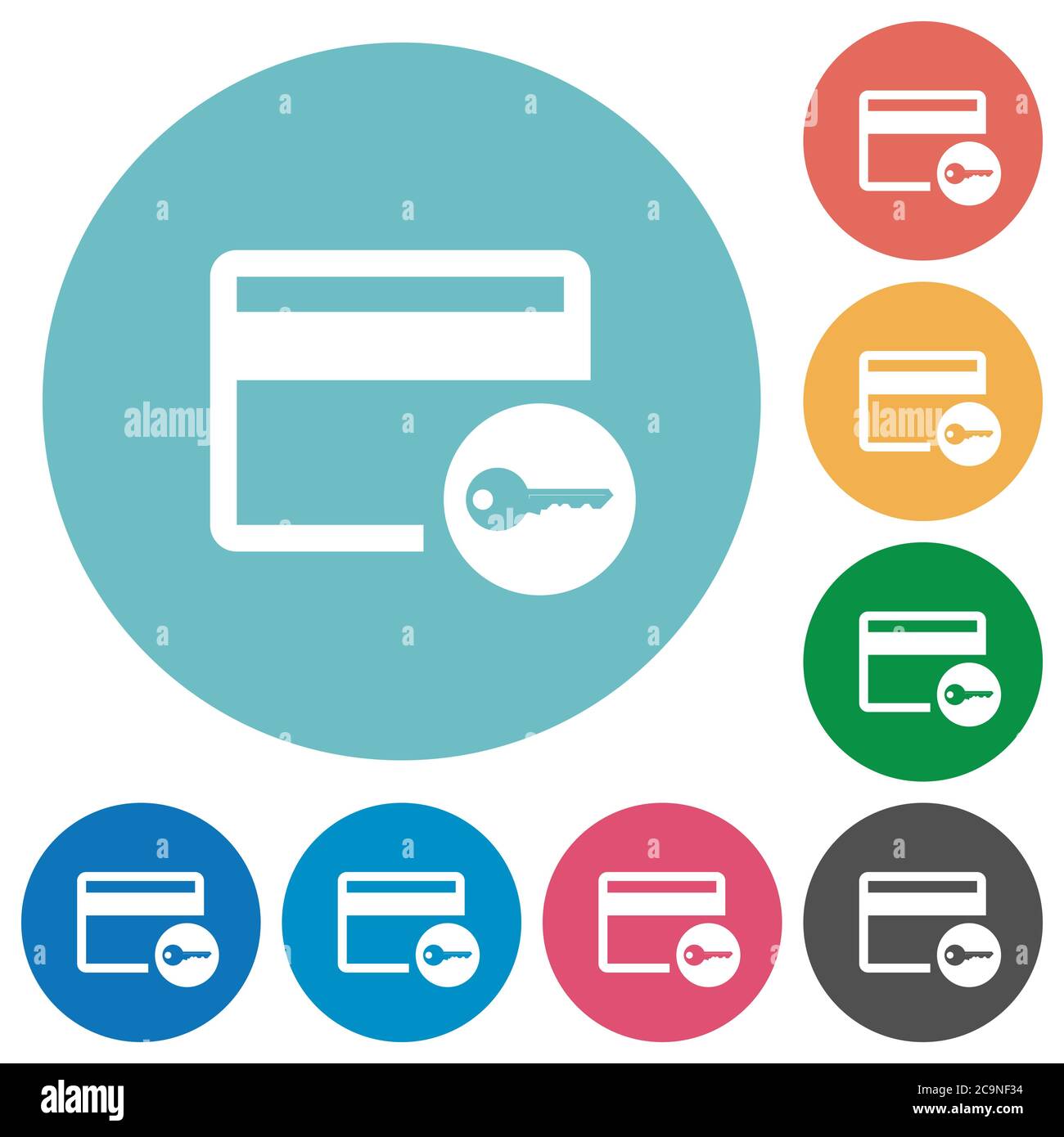 Credit card access flat white icons on round color backgrounds Stock ...