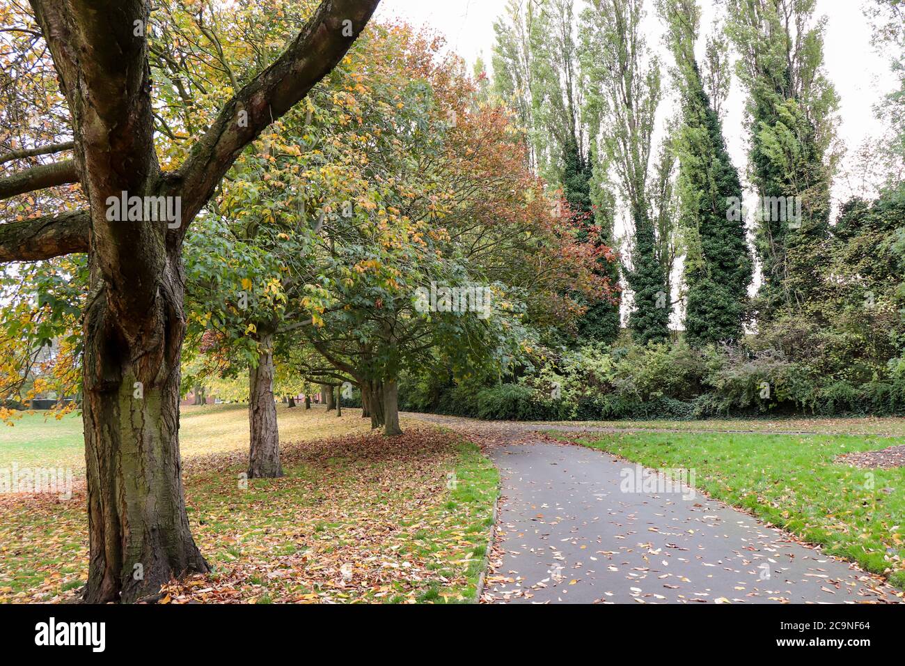 Victoria Park-English park landscape. A perfect place to relax Stock ...