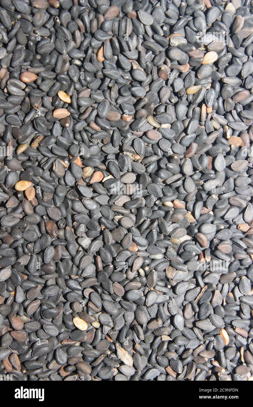 A picture of black seeds Stock Photo - Alamy