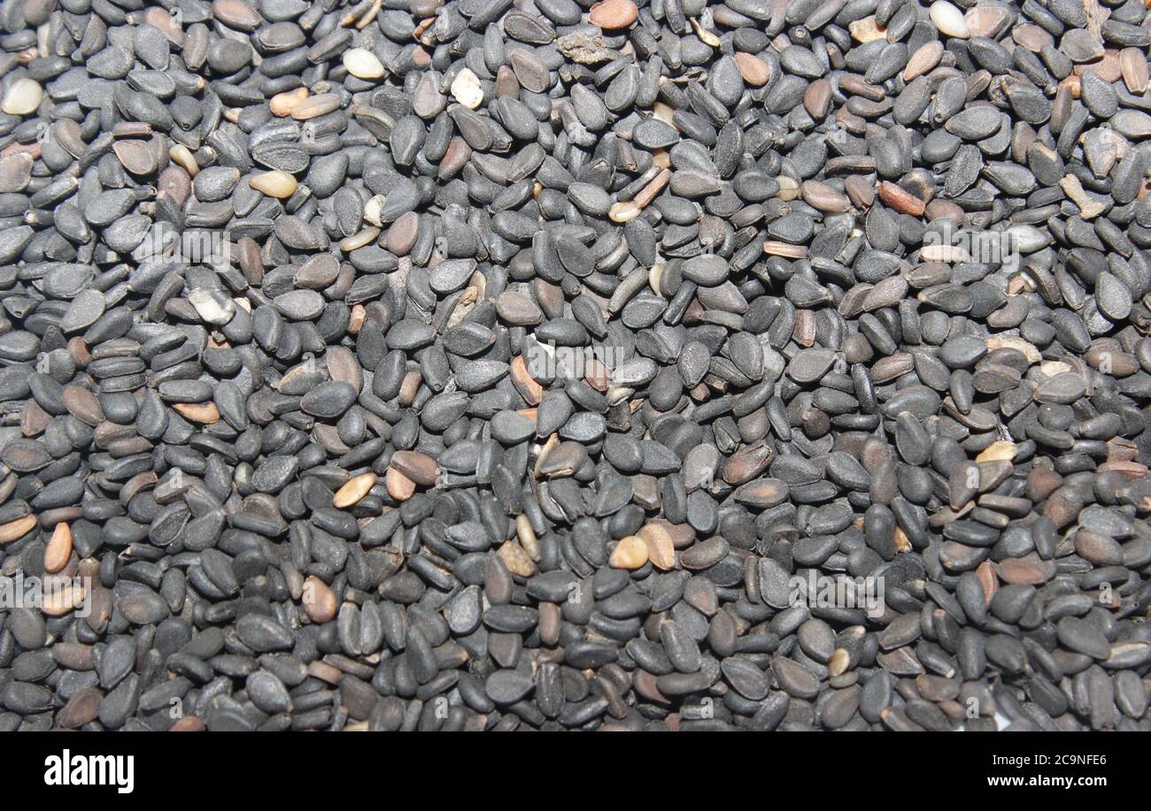 A picture of black seeds Stock Photo - Alamy