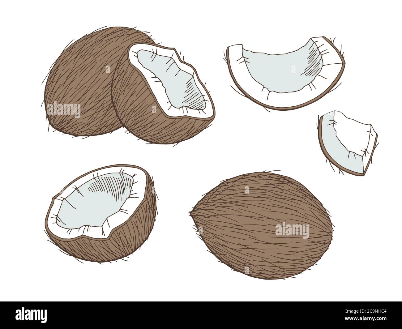 Broken Coconut Drawing