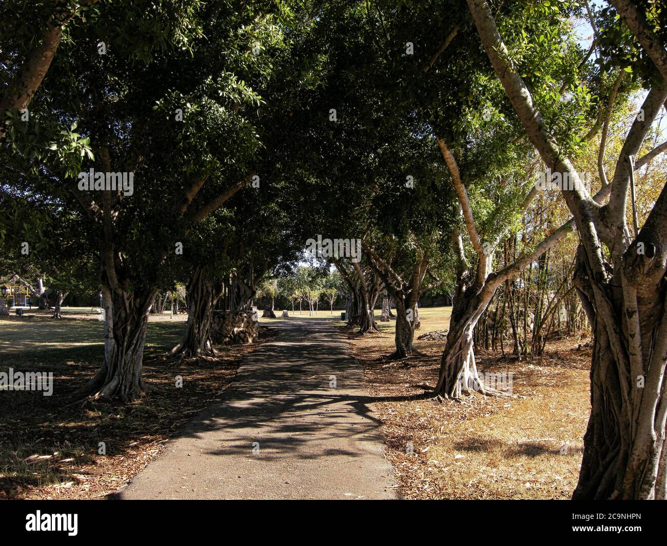 Shaded park path, Josone Park, Varadero, Cuba Stock Photo - Alamy