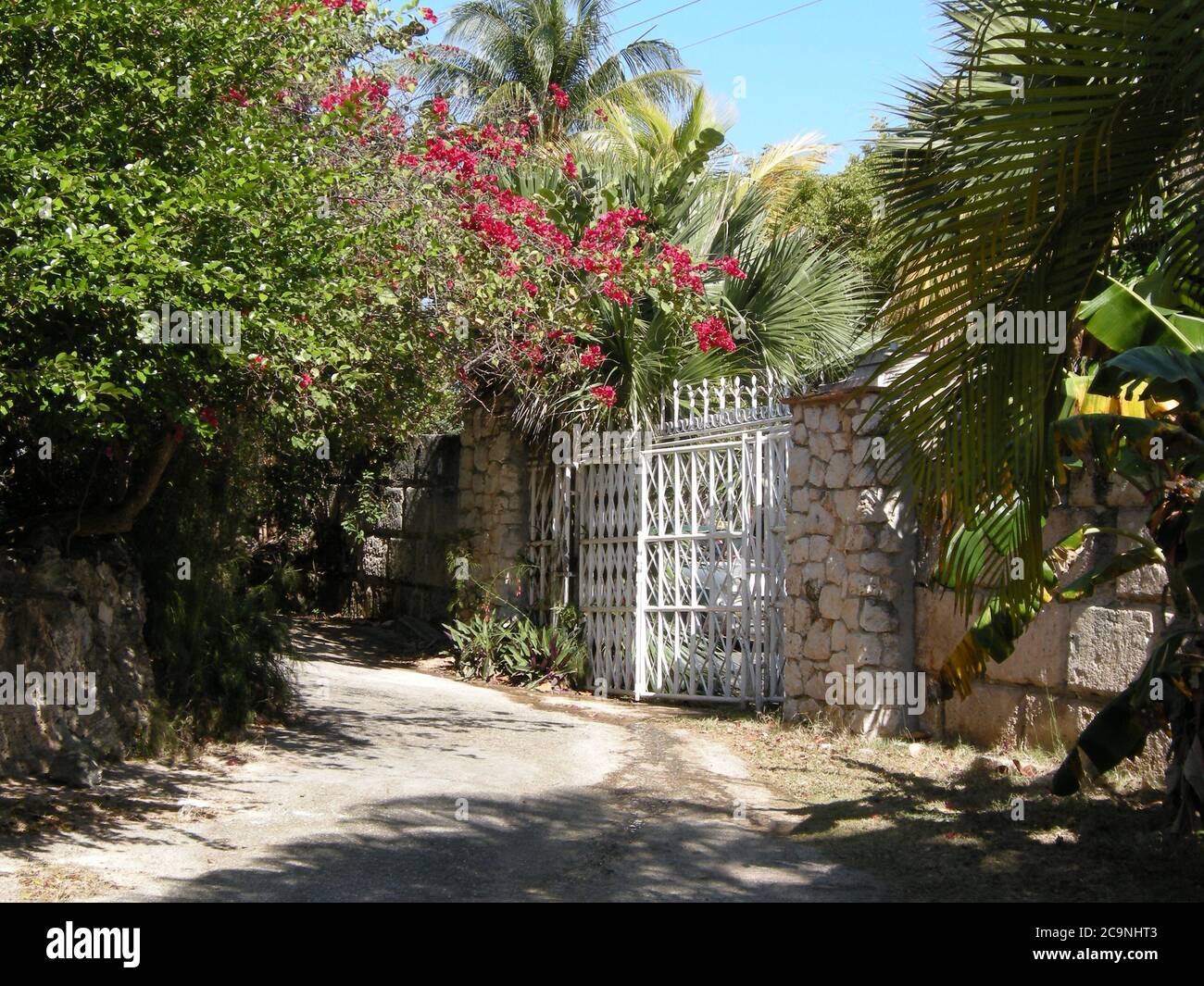 White gate, stone wall, on alley with hibiscus and palm, in Varadero ...
