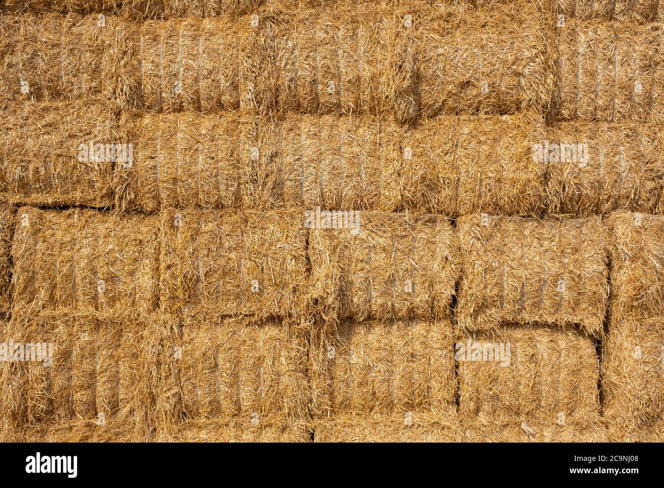a large haystack. texture and texture of hay Stock Photo - Alamy