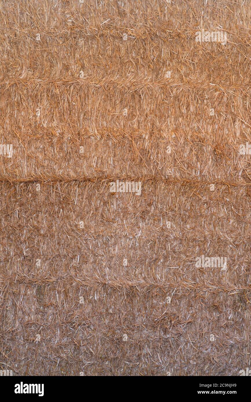 Texture of a yellow hay bale on a farm Stock Photo - Alamy