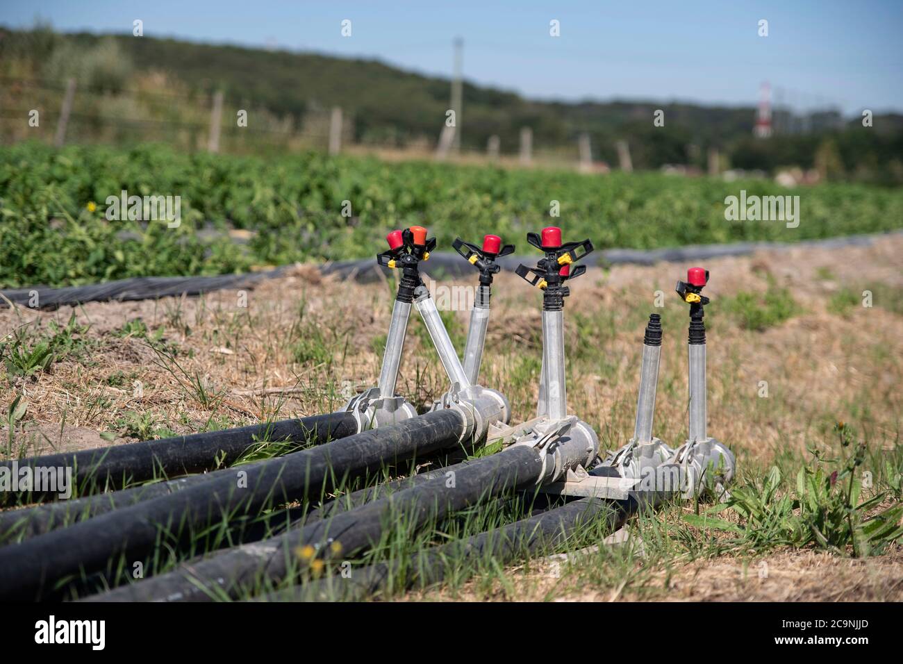 Fields with watering systems and agriculture hi-res stock photography ...