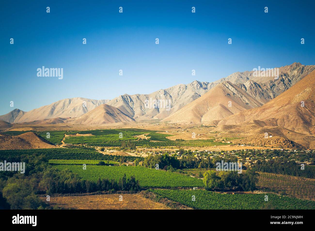 Chilean landscape with mountains and fields near Vicuña Stock Photo - Alamy