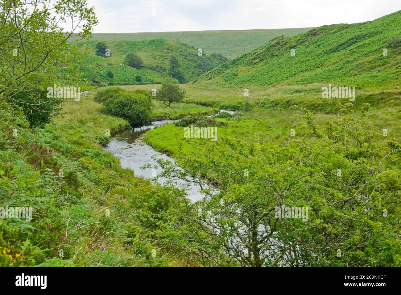 Barle valley simonsbath hi-res stock photography and images - Alamy