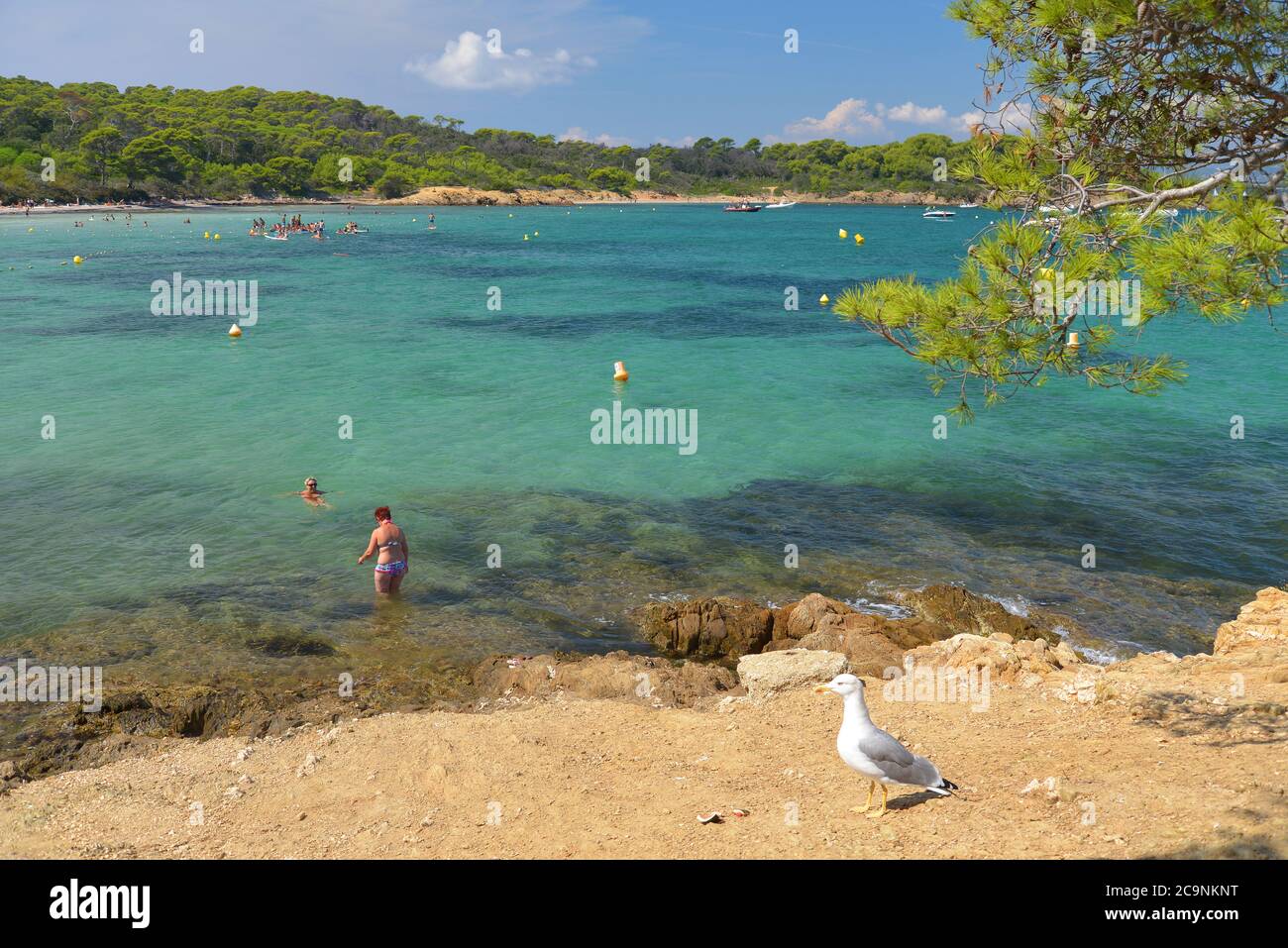 Porquerolles island The plage d'Argent beach Stock Photo - Alamy