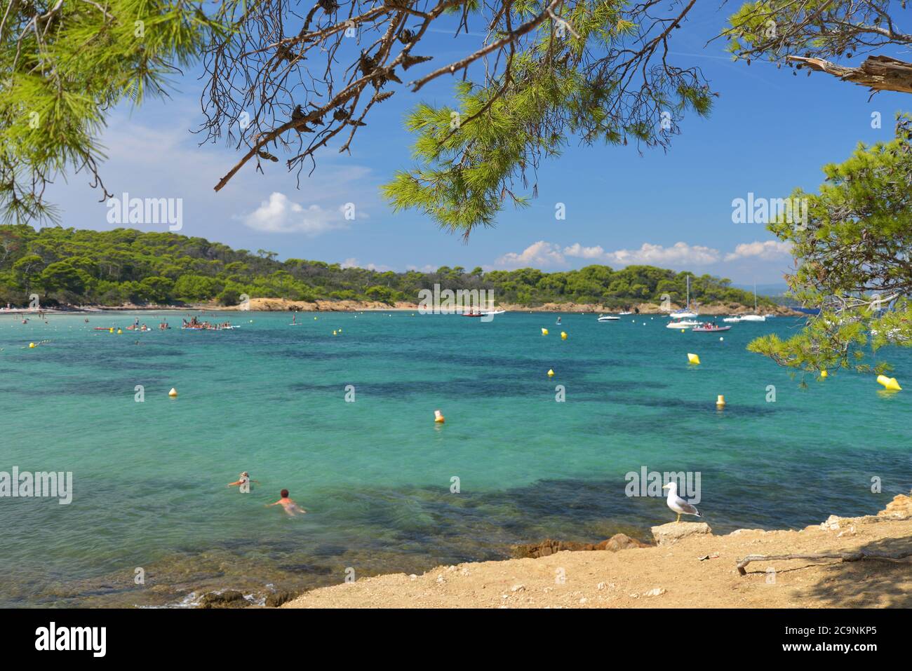 Porquerolles island The plage d'Argent beach Stock Photo - Alamy