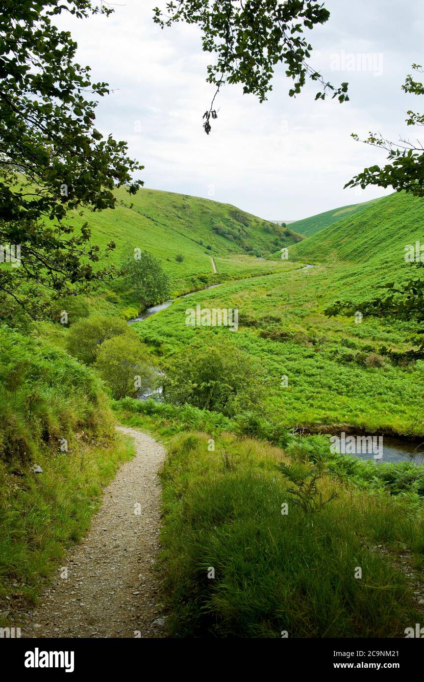 Barle valley simonsbath hi-res stock photography and images - Alamy