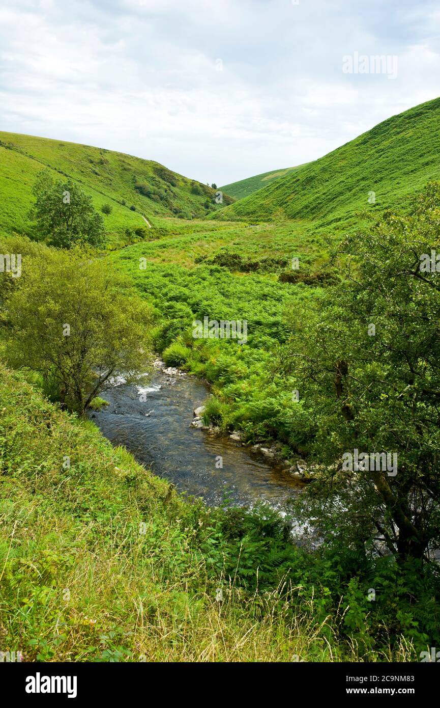 Barle Valley Simonsbath High Resolution Stock Photography and Images ...