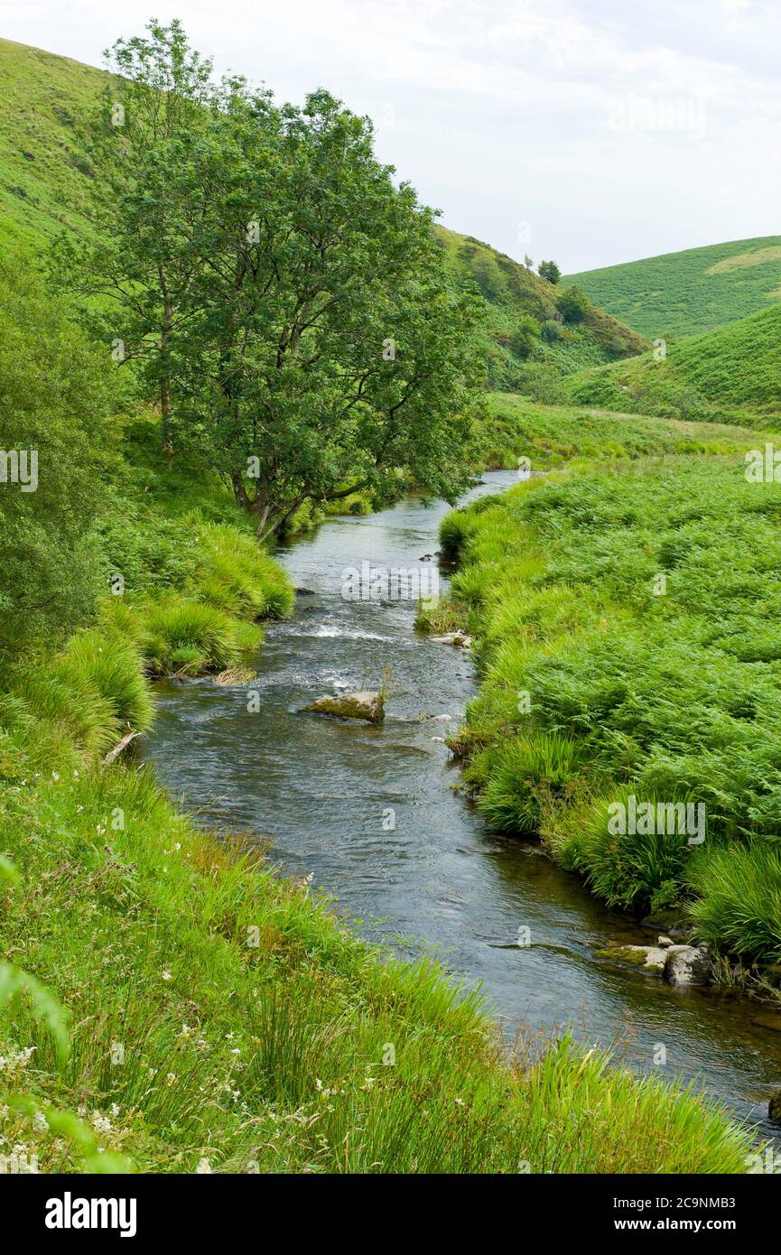 The River Barle Valley, near Simonsbath, Exmoor, Somerset Stock Photo ...