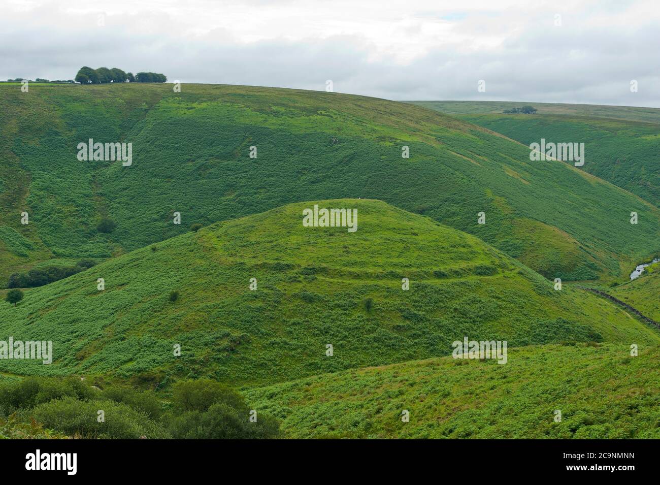 The River Barle Valley, near Simonsbath, Exmoor, Somerset Stock Photo ...
