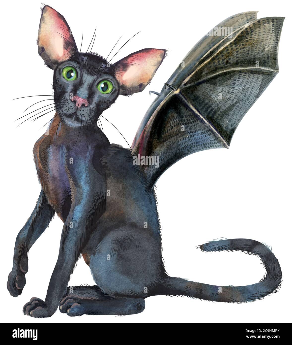 Watercolor oriental cat with bat wings. Hand drawn black short hair pet ...
