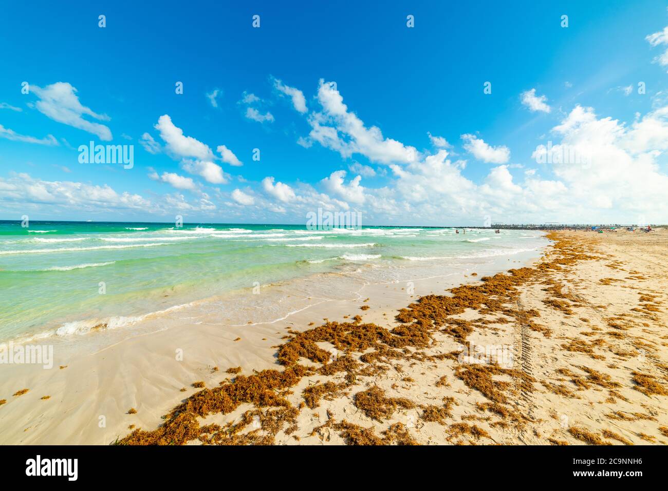 Colorful shore in world famous Miami Beach, USA Stock Photo - Alamy